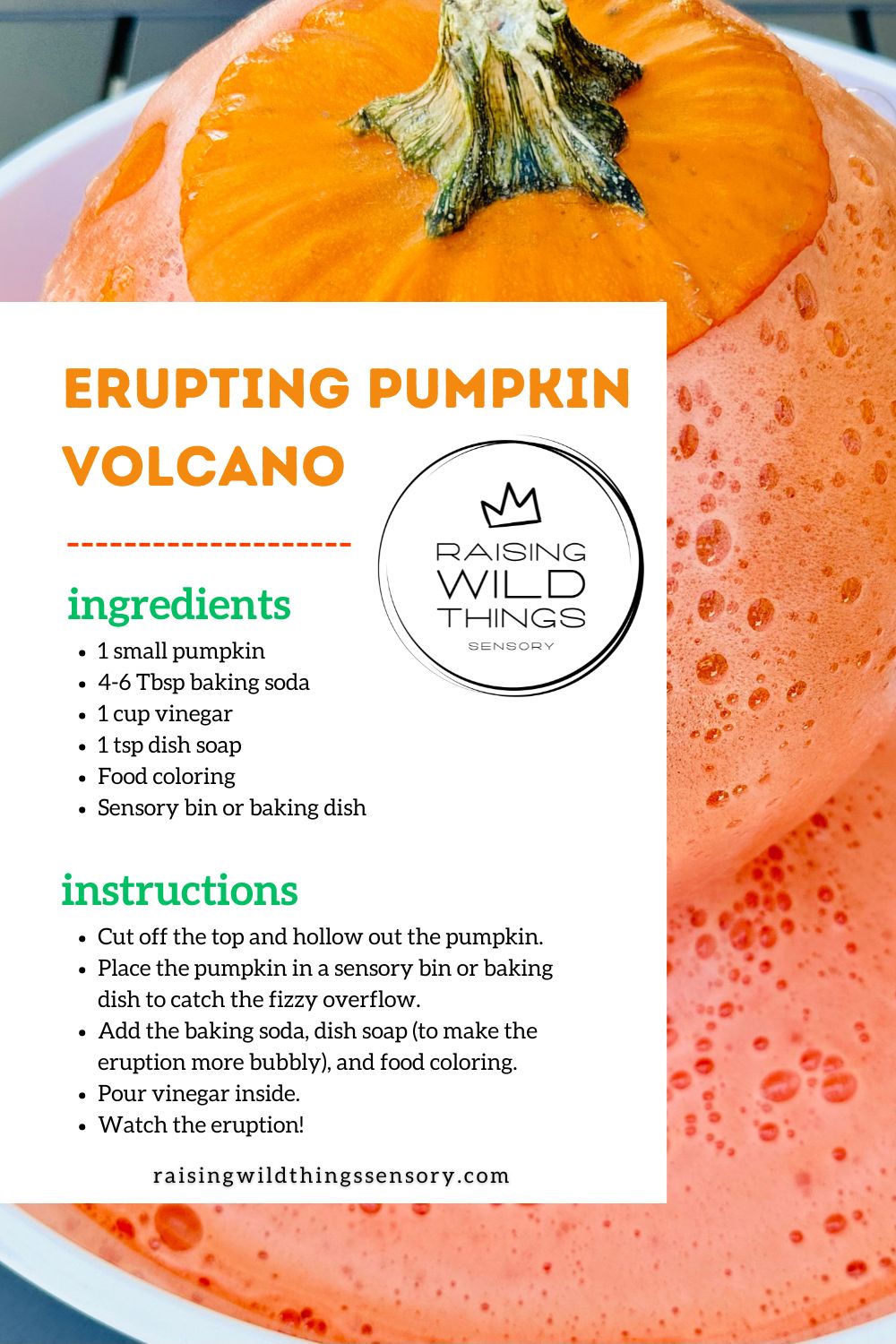 How To Make An Erupting Pumpkin Volcano - Raising Wild Things Sensory