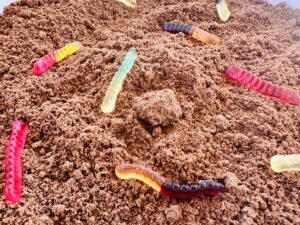 How To Make Edible Dirt For Sensory Play - Raising Wild Things Sensory