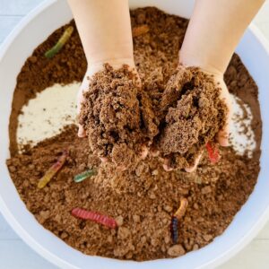 How To Make Edible Dirt For Sensory Play - Raising Wild Things Sensory