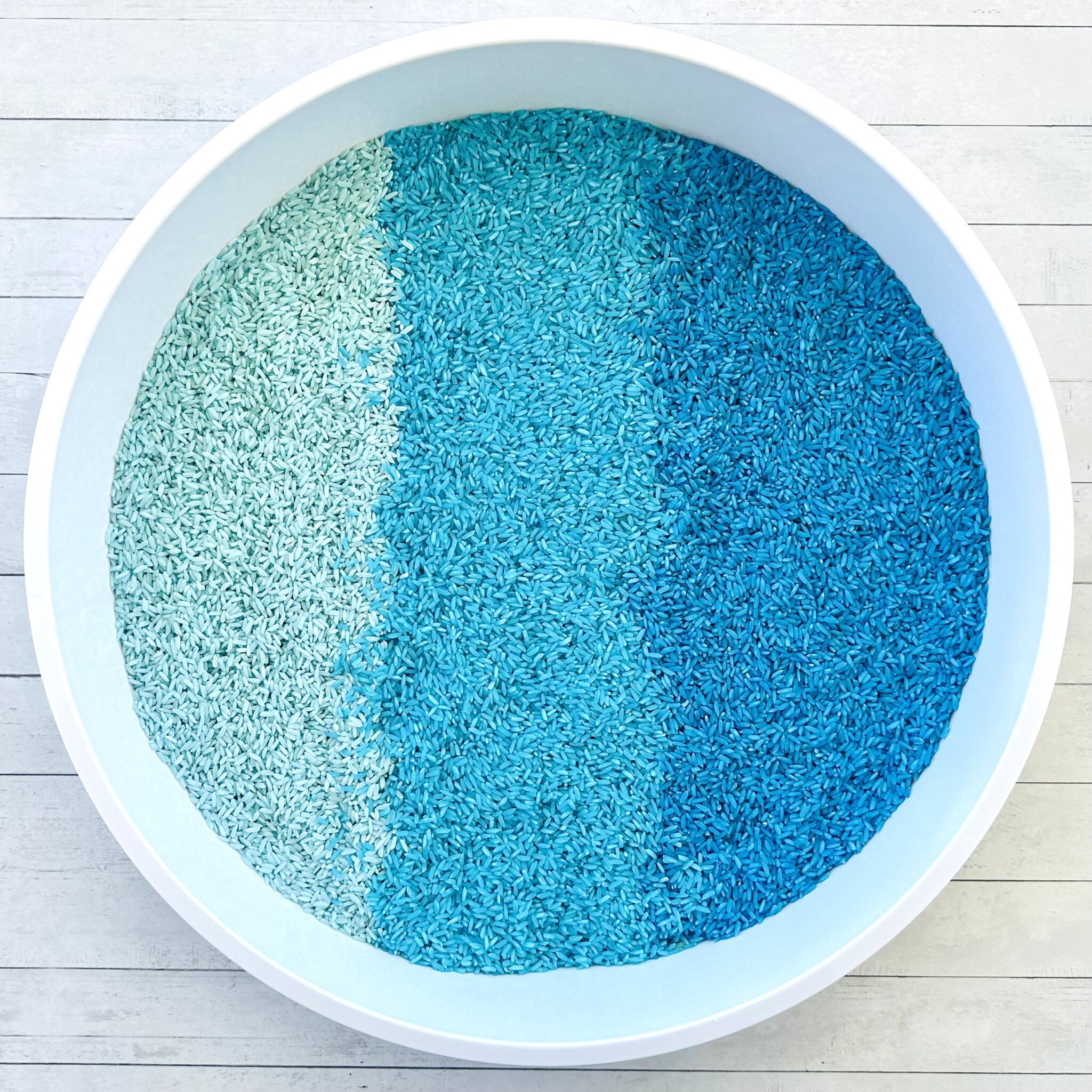 How To Make An Ocean Colored Rice Sensory Bin - Raising Wild Things Sensory