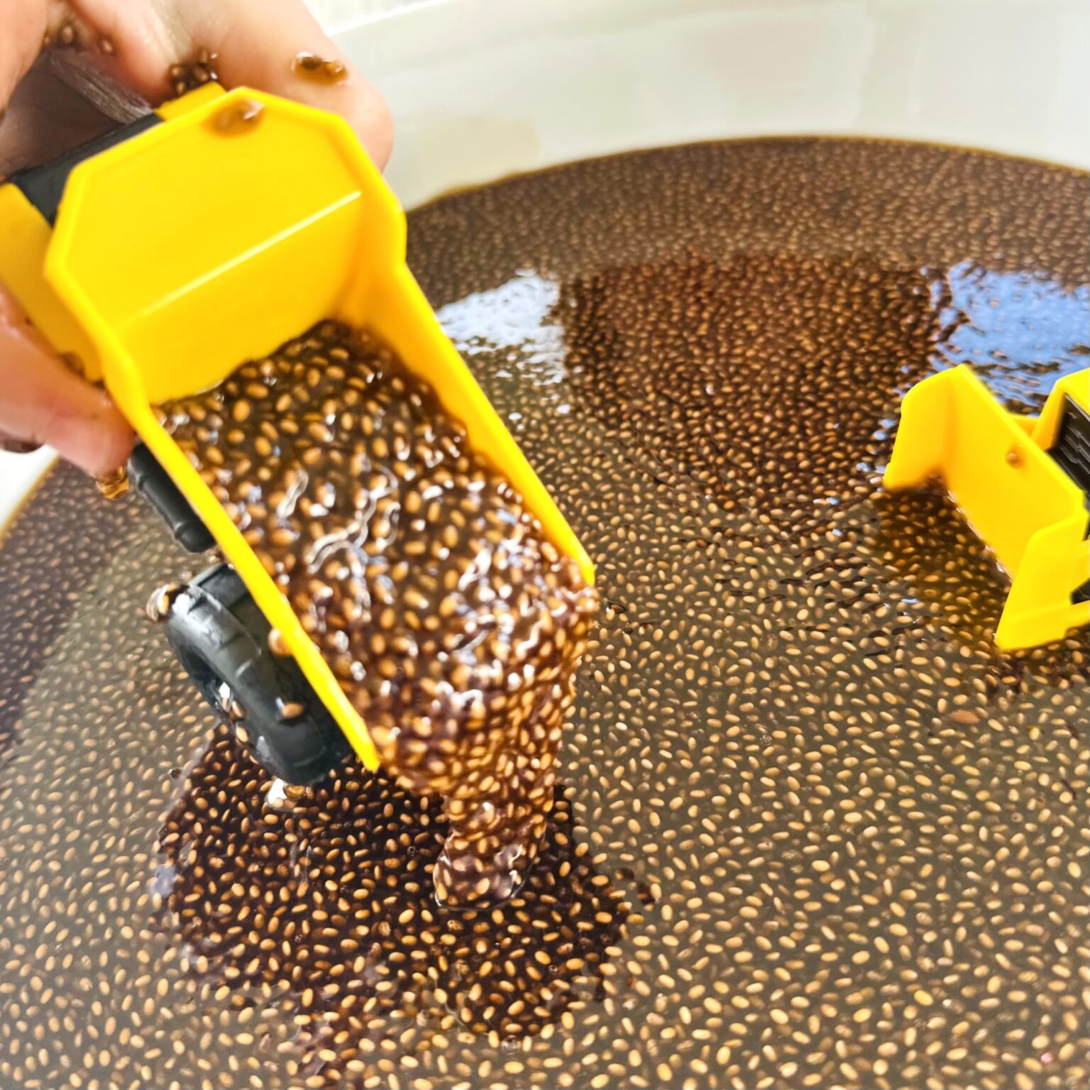 How to Make Taste-Safe Chia Seed Sensory Mud Slime - Raising Wild ...