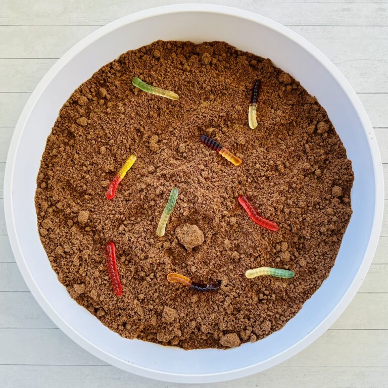 How To Make Edible Dirt For Sensory Play - Raising Wild Things Sensory