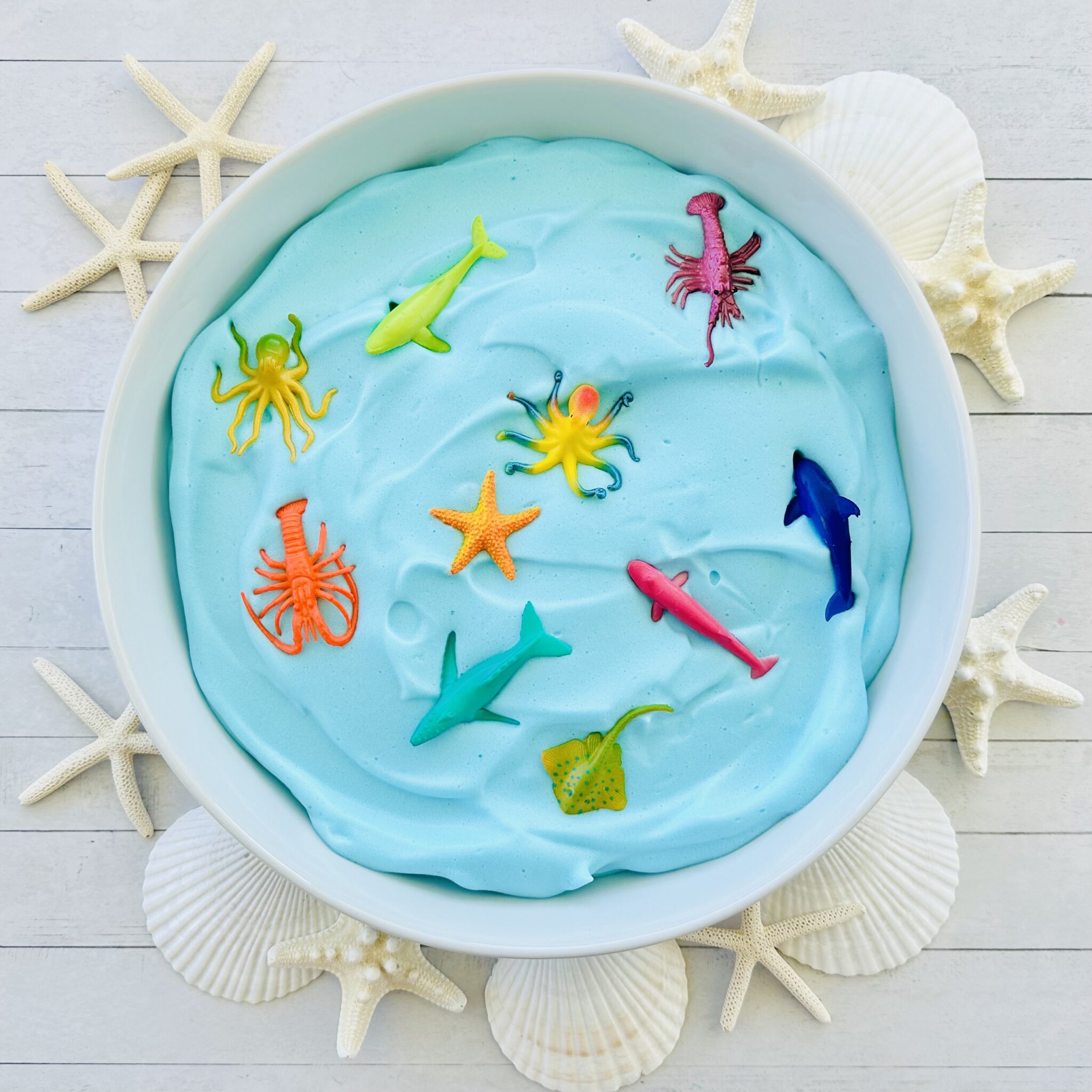 10 Of The Best Ocean Sensory Activities For Kids - Raising Wild Things ...